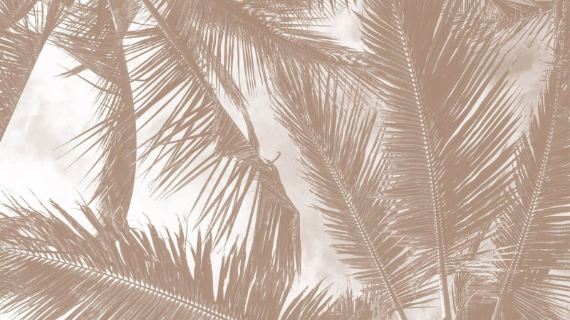 ¿Qué es el Cinco de Mayo? Historia, significado y cómo se celebra hoy